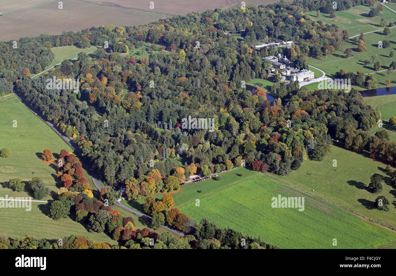 aerial view of Thorp Perrow Arboretum near Bedale, North Yorkshire, UK ...