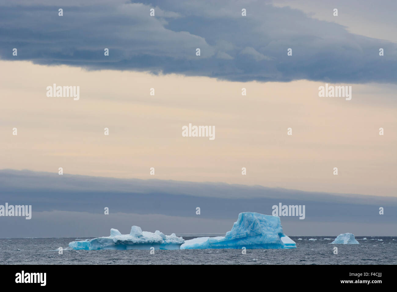 Antarctica. Brown Bluff. Bright blue iceberg Stock Photo - Alamy