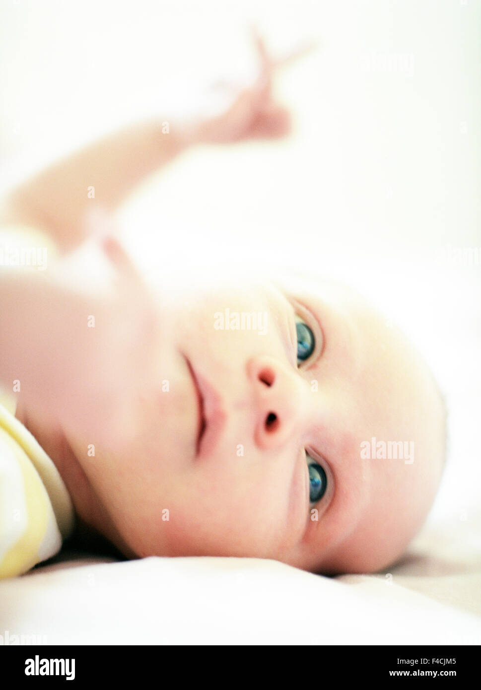 Bany hi-res stock photography and images - Alamy