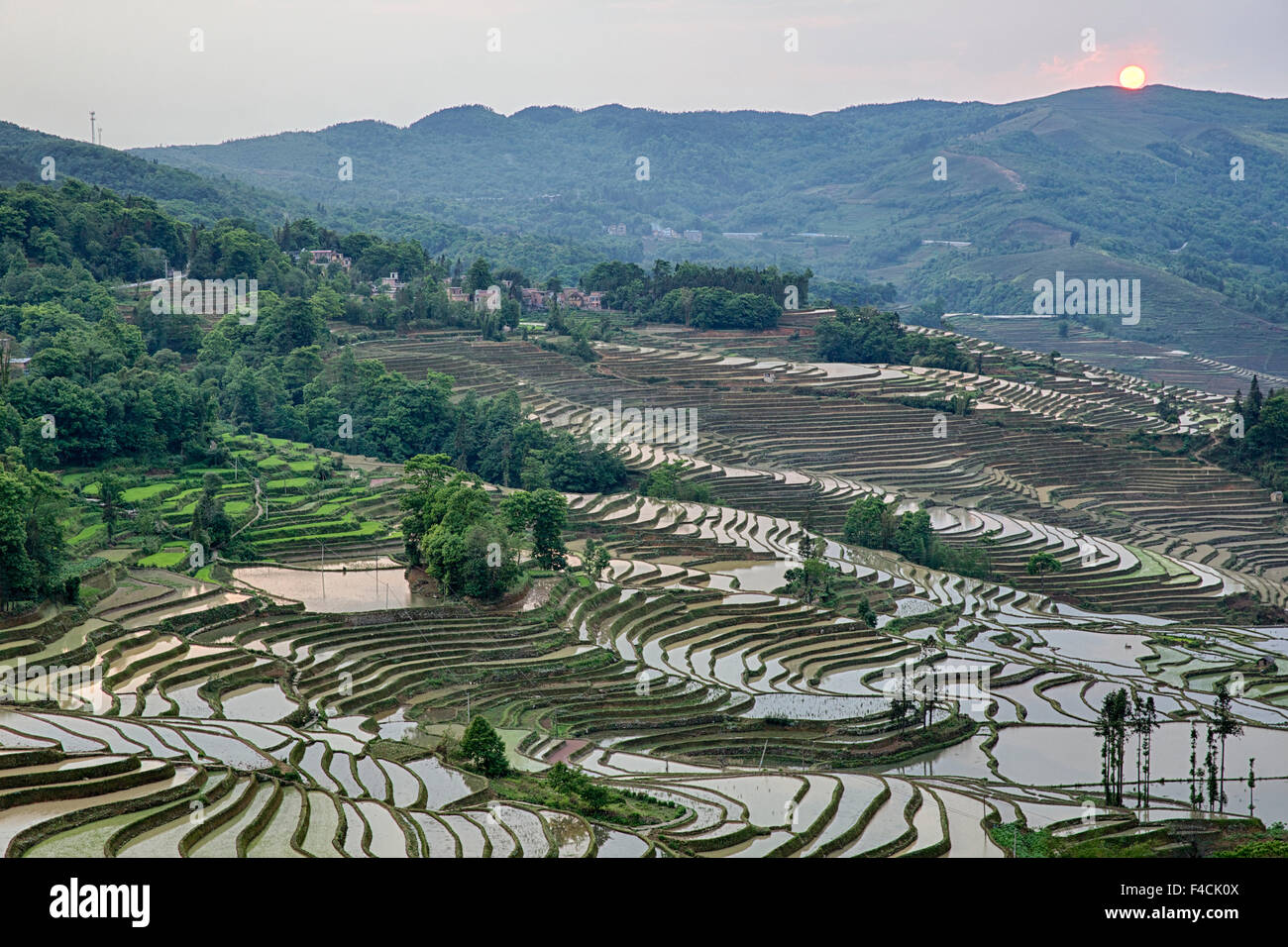 China, Yunnan Province, Yuanyang. Sunset over hillside of rice terraces ...