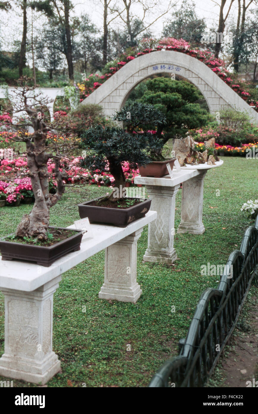 China, Jiangsu Province, Suzhou, Flower festivals bonsai display at ...