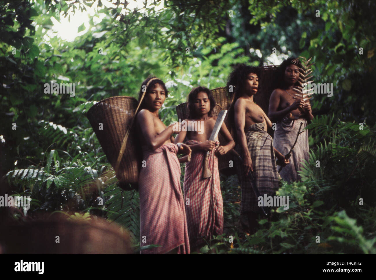 Indonesia, Maluku, Seram Island, Native woman carrying basket. (Large ...