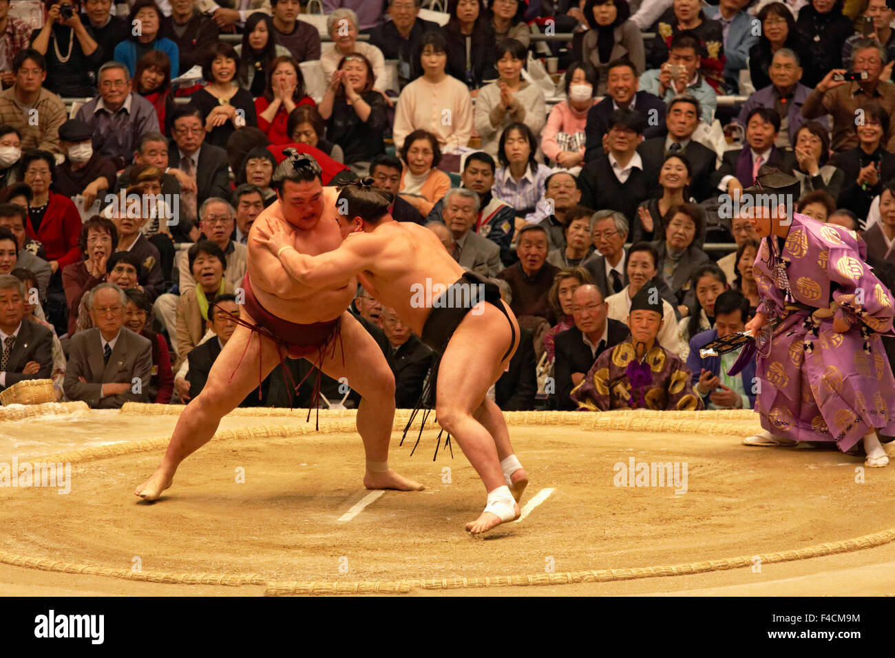 Sumo wrestlers hi-res stock photography and images - Alamy