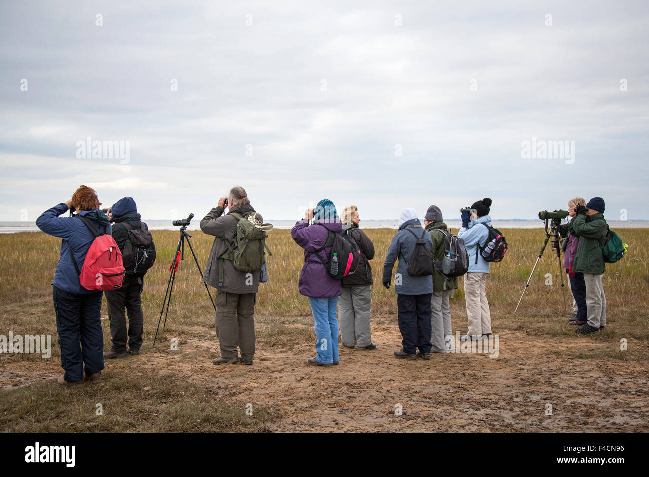 Digi scope hi-res stock photography and images - Alamy