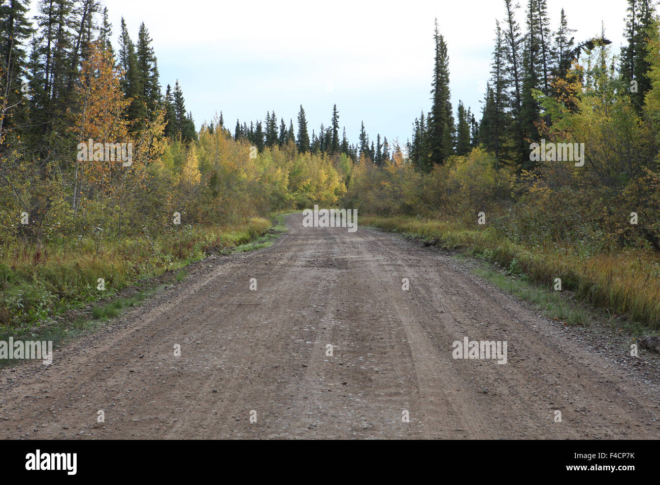 Winding lines perspective hi-res stock photography and images - Alamy