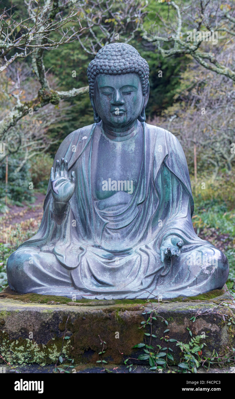 Japan, Kanagawa, Kamakura, Tokeiji Temple Buddha (Large format sizes ...
