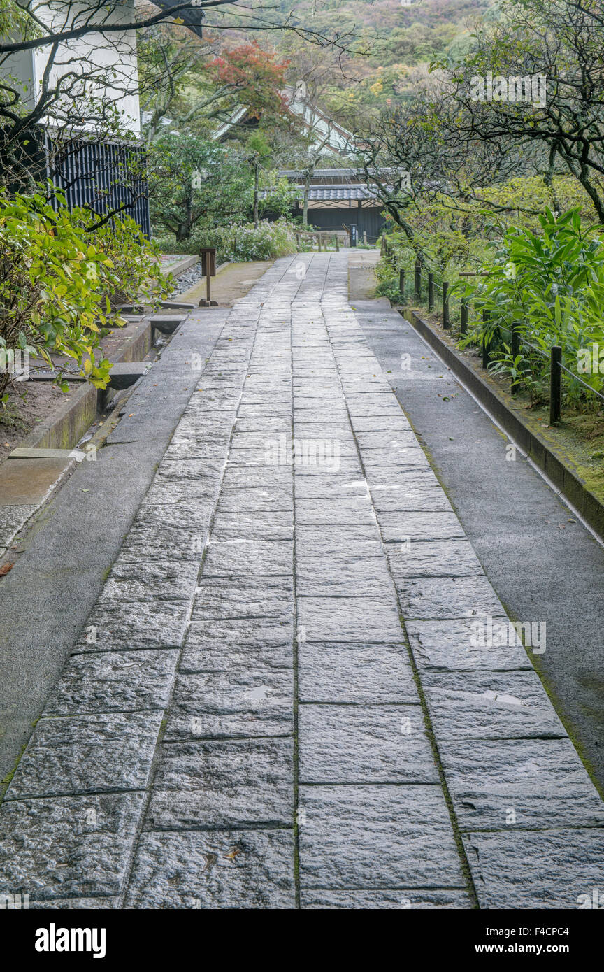 Japan, Kanagawa, Kamakura, Tokeiji Temple Garden (Large format sizes ...