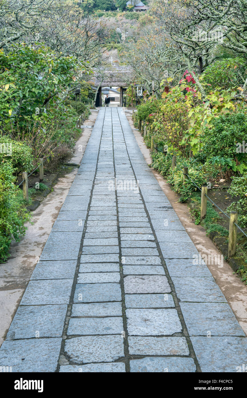 Japan, Kanagawa, Kamakura, Tokeiji Temple Garden (Large format sizes ...