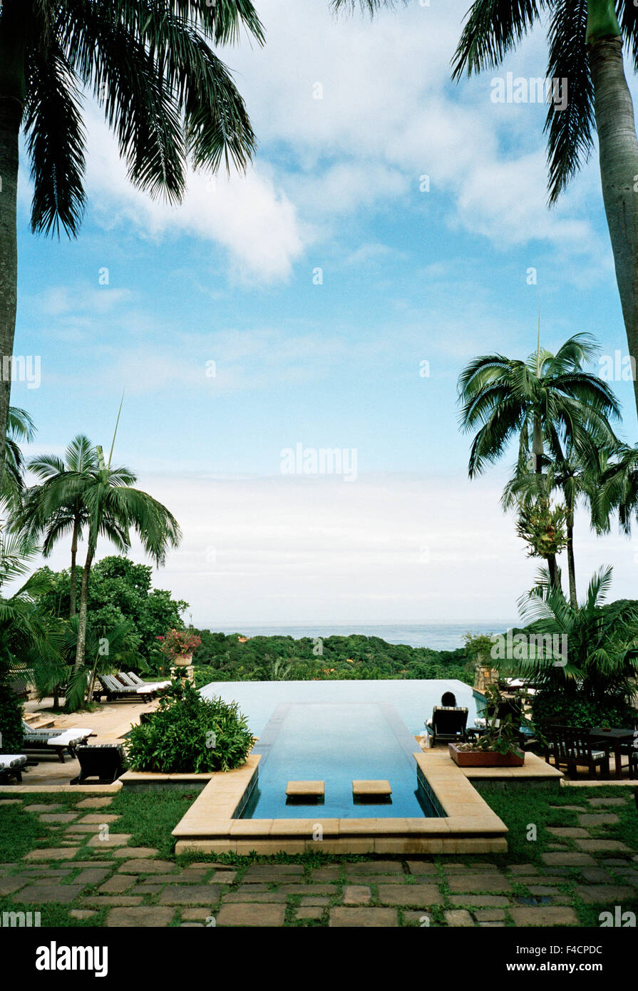 A Pool with Palm-trees on the Sides Stock Photo - Alamy