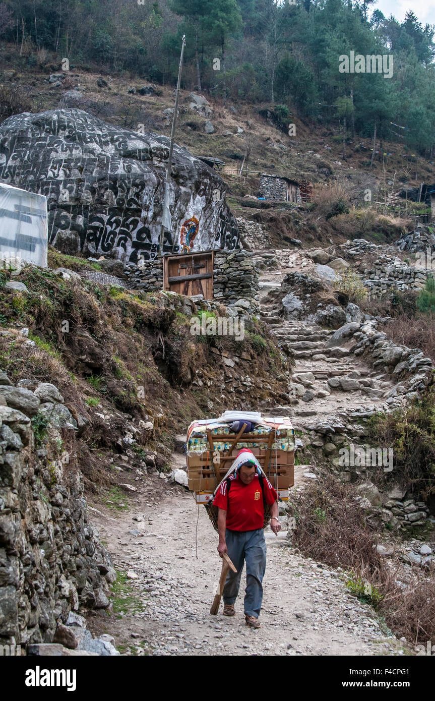 Porter carrying load on trail, Nepal (Large format sizes available ...
