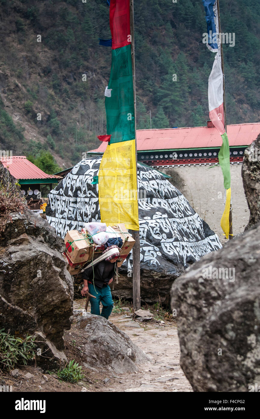 Porter carrying load on trail, Nepal (Large format sizes available ...