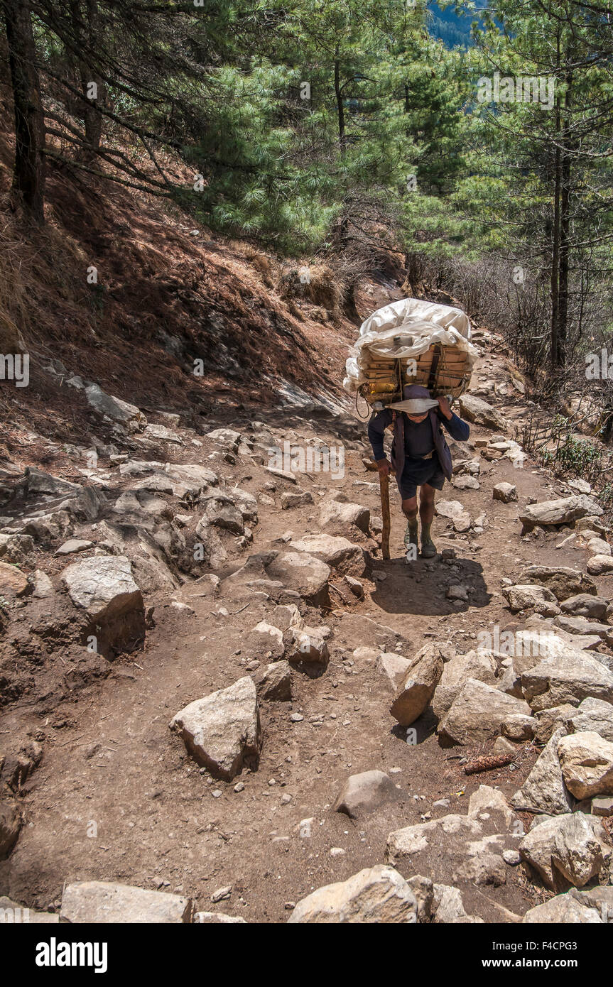 Porter carrying load, Nepal Stock Photo - Alamy