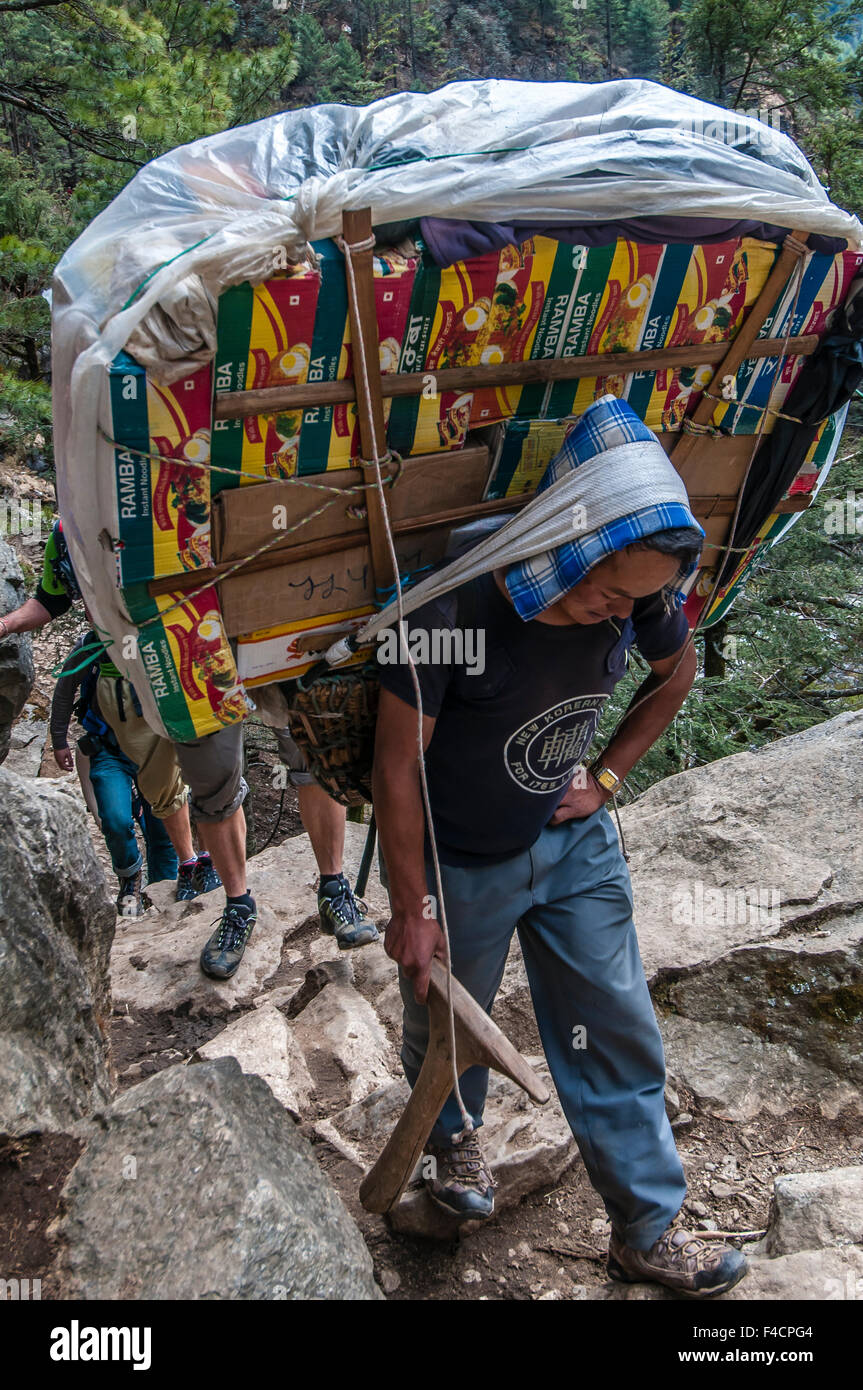 Porter carrying load, Nepal Stock Photo - Alamy
