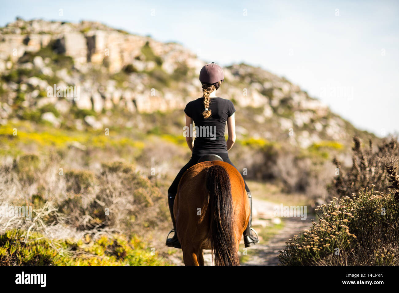 Young woman horse riding hi-res stock photography and images - Alamy