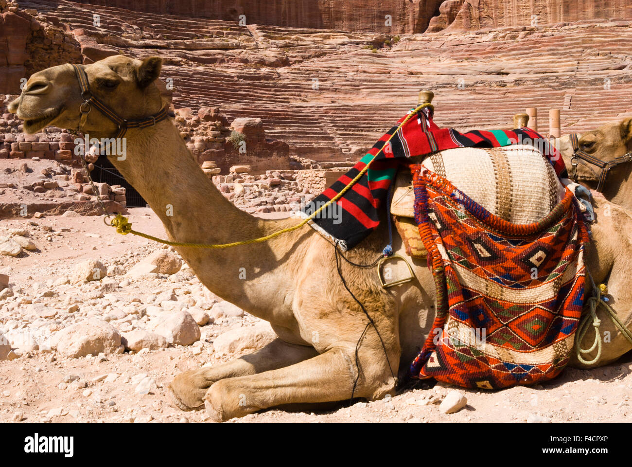 Roman amphitheater, Petra, UNESCO Heritage Site, Jordan Stock Photo - Alamy