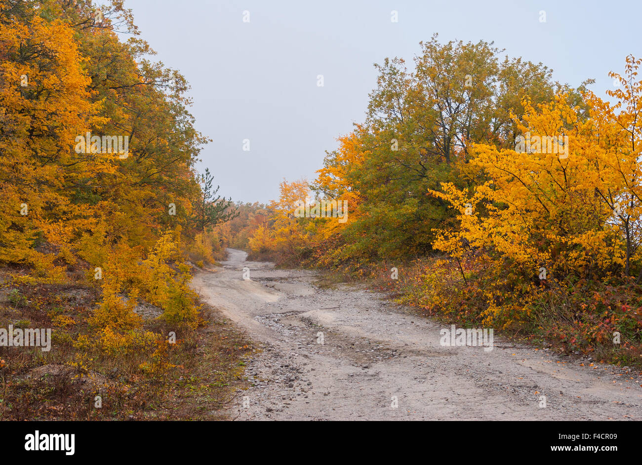 Empty mountain road landscape hi-res stock photography and images - Alamy