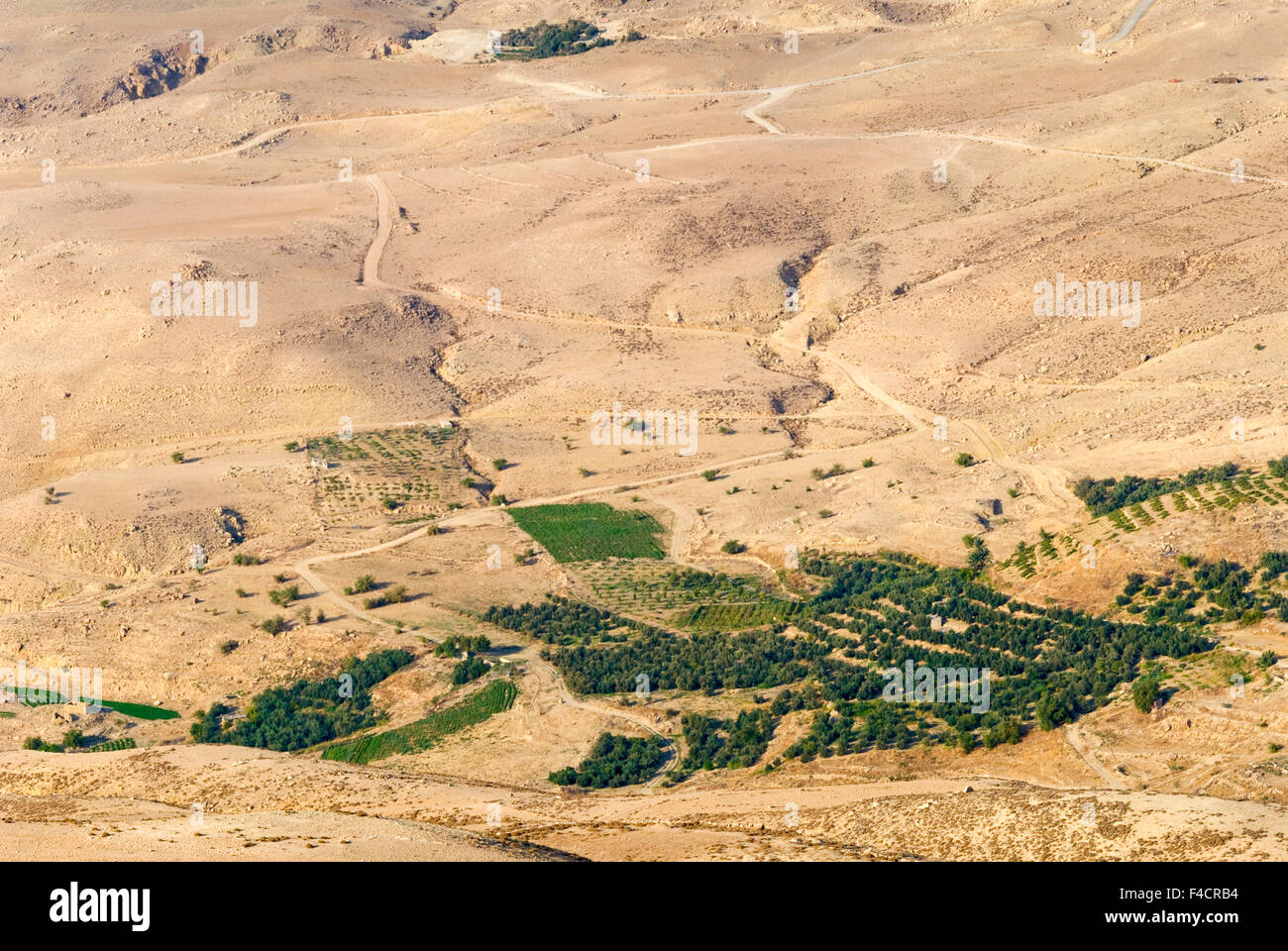 Mount Nebo's area, East Bank Plateau, Jordan Stock Photo - Alamy