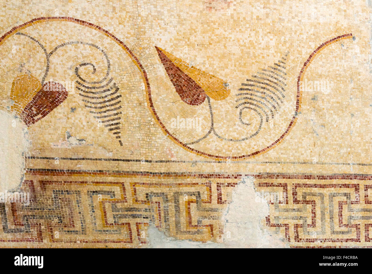 Mosaics, Moses Memorial Church, Mount Nebo, East Bank Plateau, Jordan ...