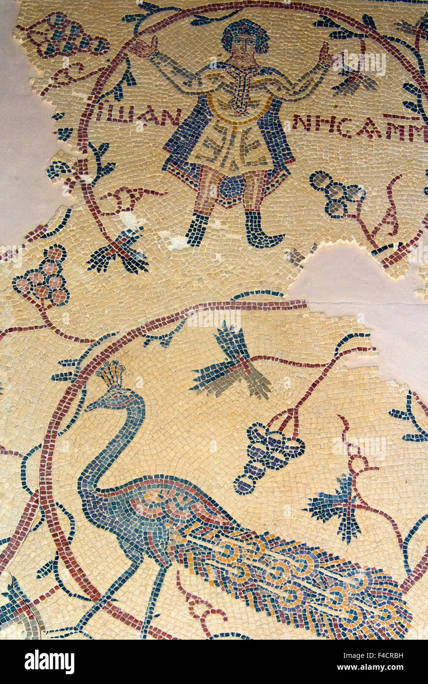 Mosaics, Moses Memorial Church, Mount Nebo, East Bank Plateau, Jordan ...