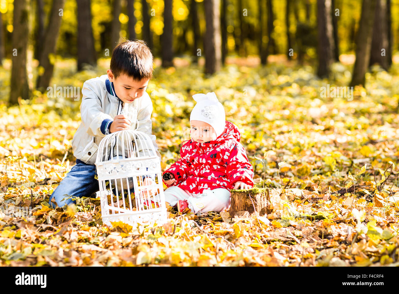 Children in autumn park Stock Photo - Alamy