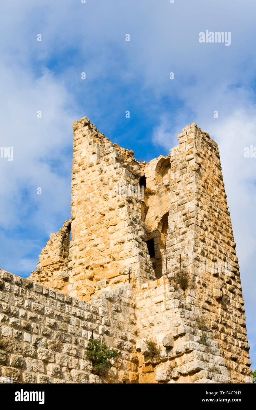 Muslim military fort of Ajloun, Jordan Stock Photo - Alamy