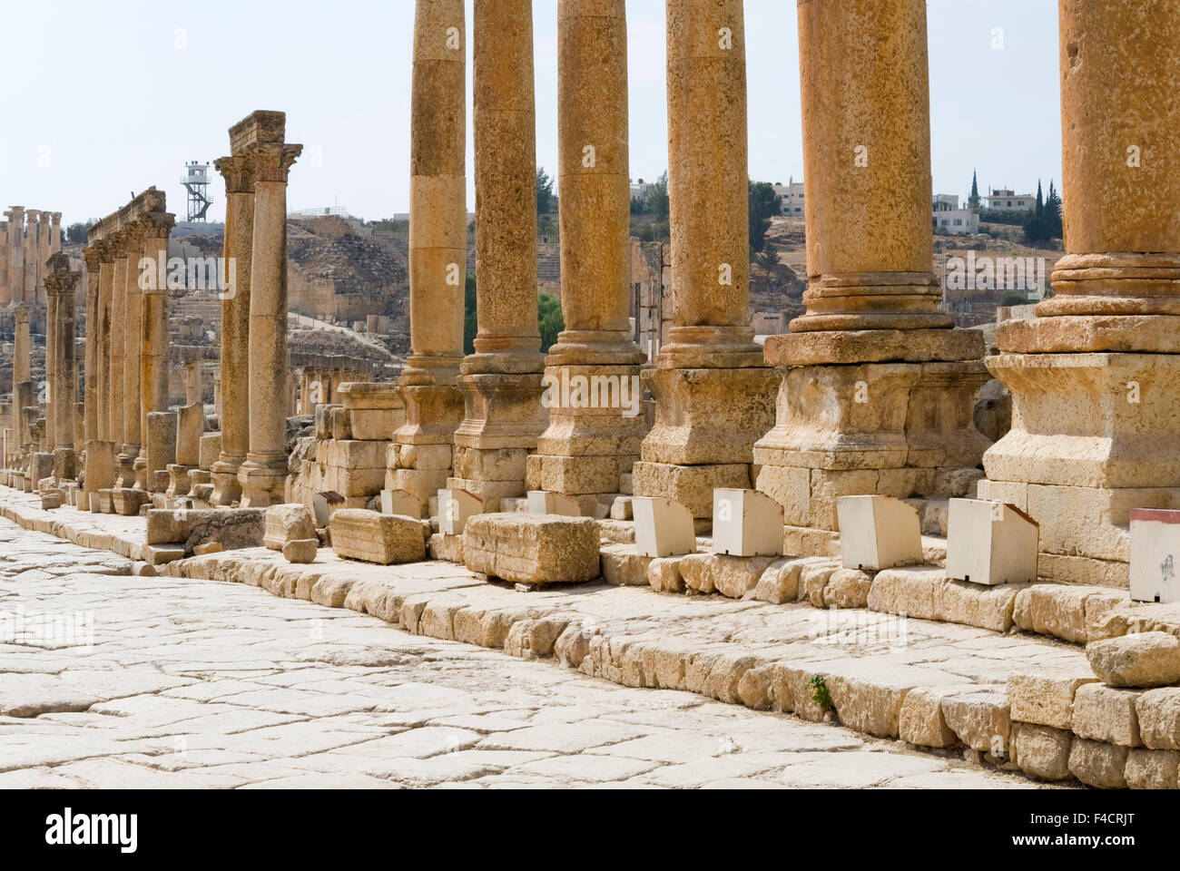 The Cardo, Colonnaded Street, Jerash, Gerasa Roman city, Jordan Stock ...