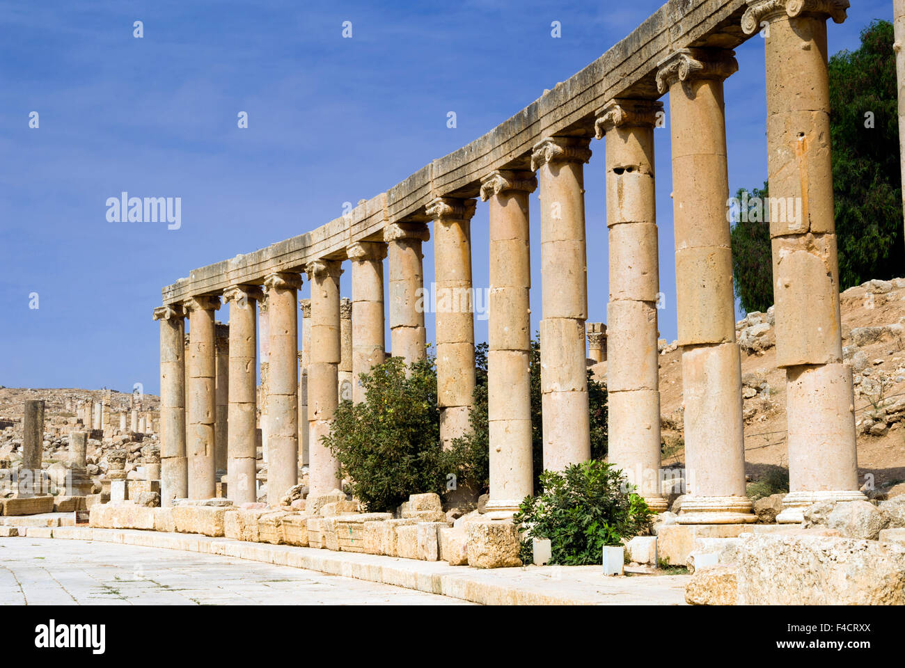 Oval Plaza with colonnade and ionic columns, Jerash, Jordan. Once the ...