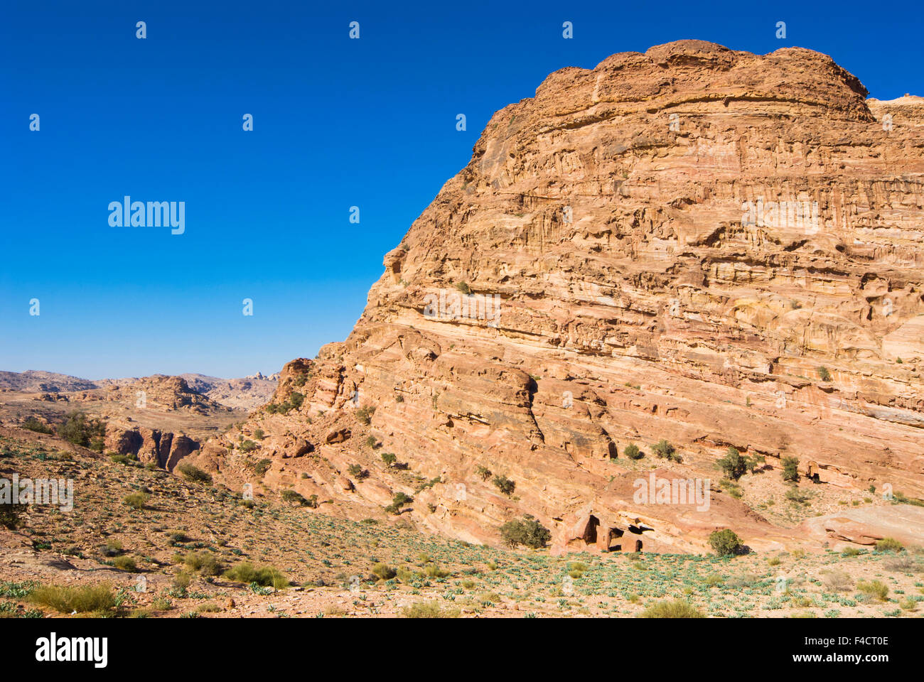 Musa Jebel Stock Photos & Musa Jebel Stock Images - Alamy