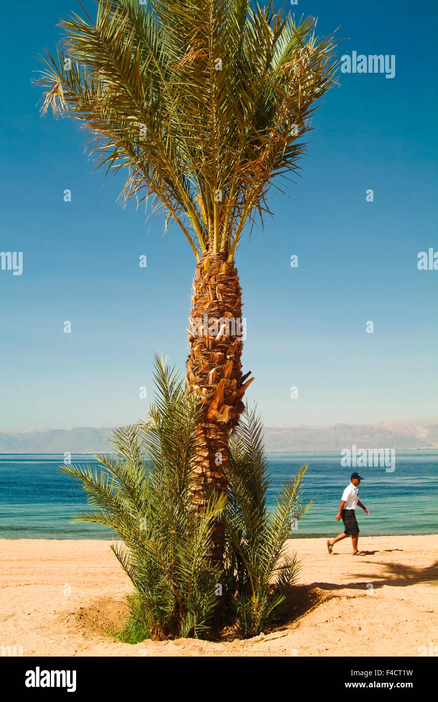 Tala bay hi-res stock photography and images - Alamy