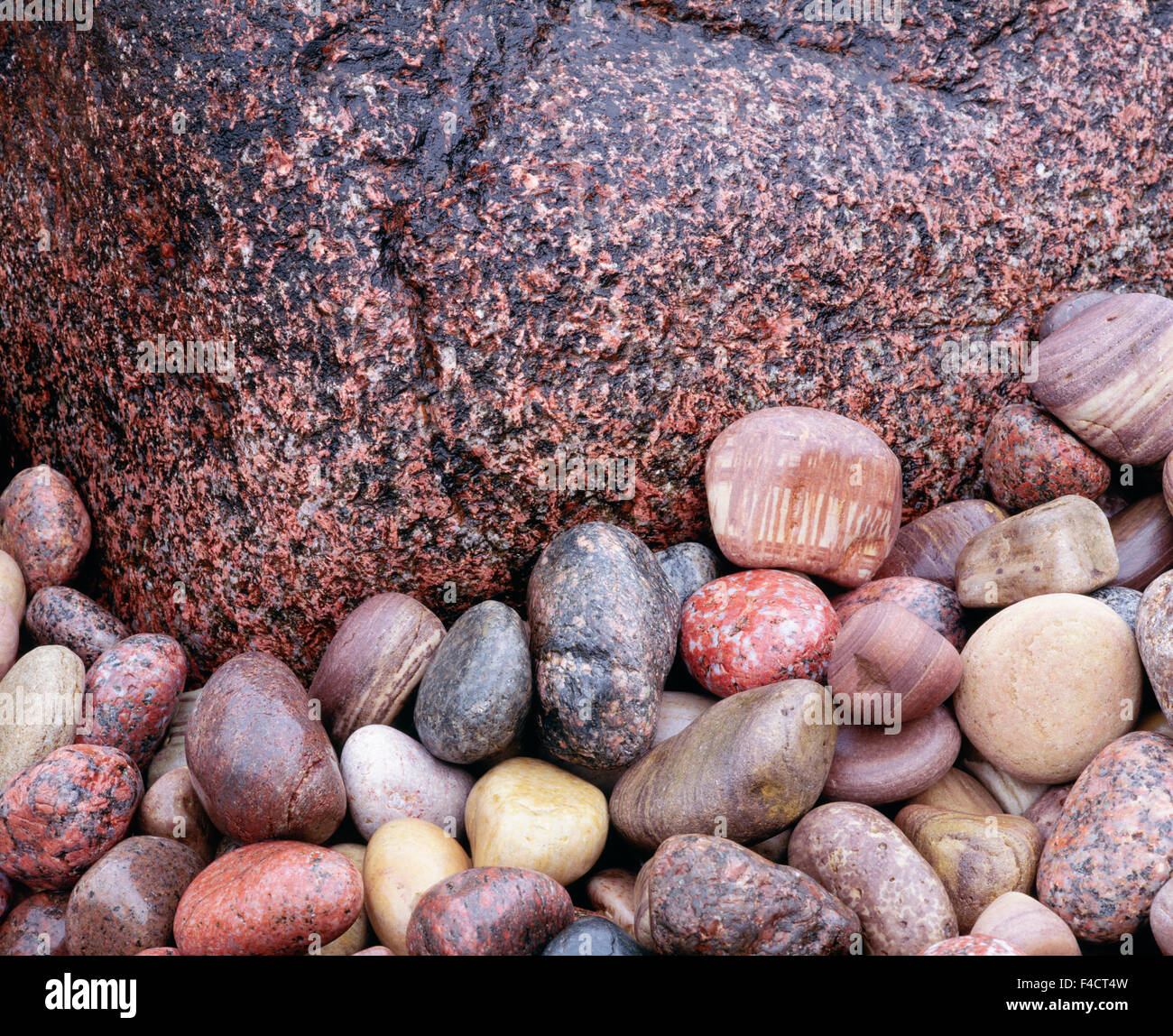 Variety of rocks and stones, close-up Stock Photo - Alamy