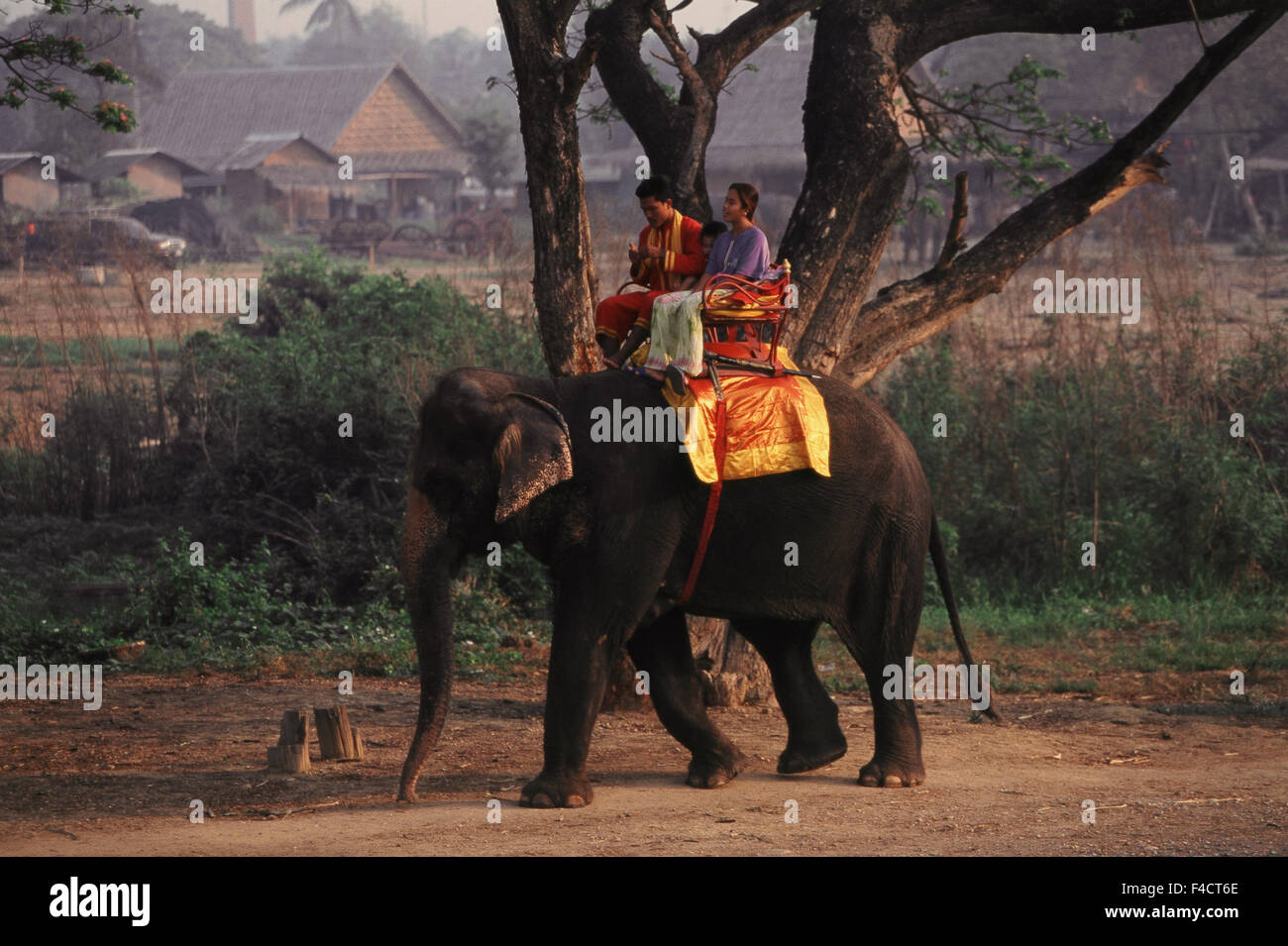 Thailand, Ayutthaya, Mahout and family sitting on elephant. (Large ...