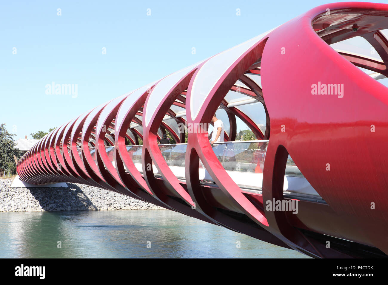 Peace Bridge - foot bridge across the Bow River in Calgary Stock Photo ...