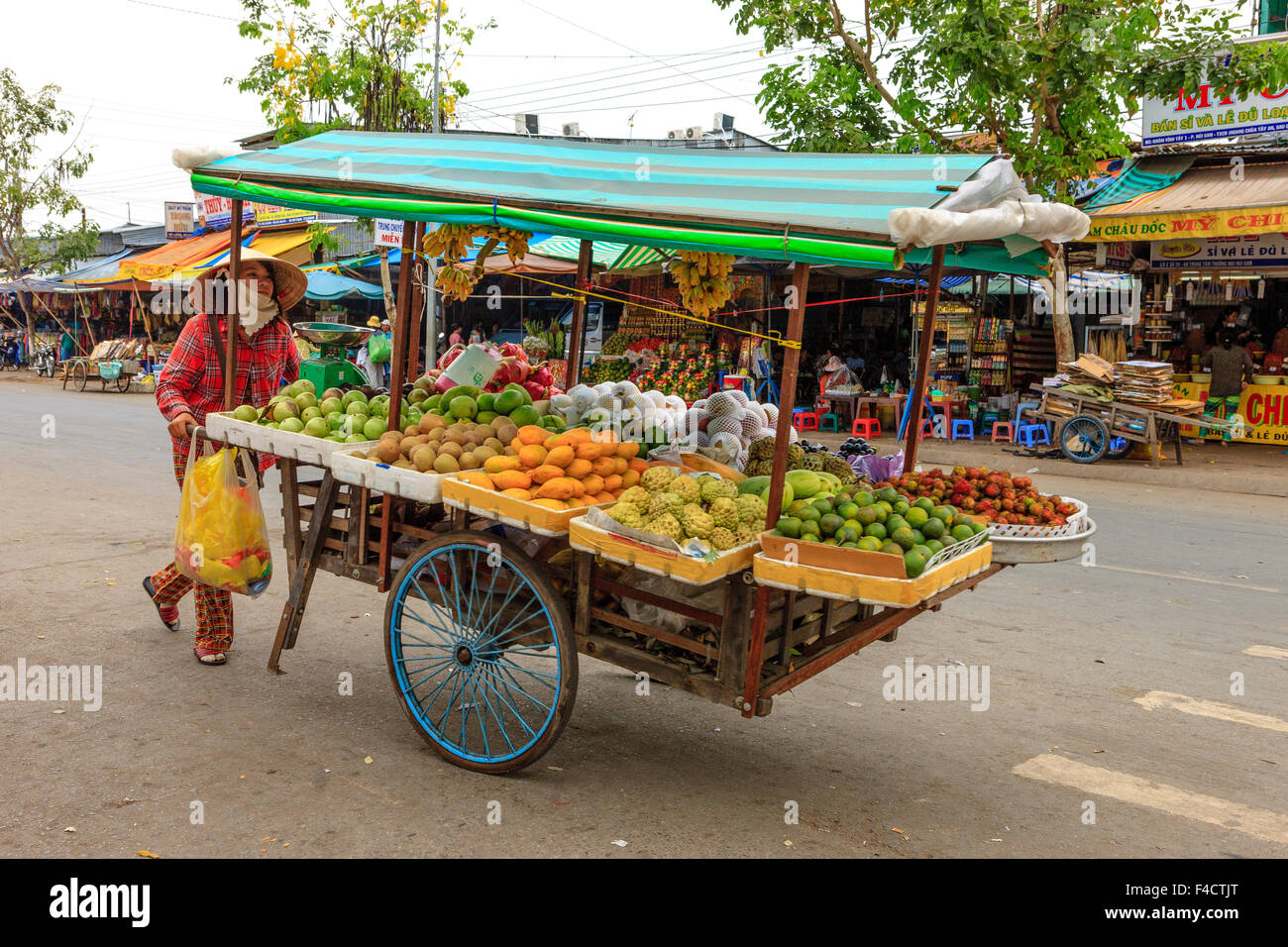 Fruit vendor moving her cart. Vietnam, Indochina, South East Asia ...