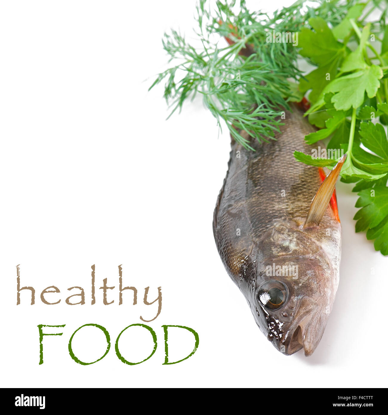 Freshwater perch isolated on white background Stock Photo - Alamy