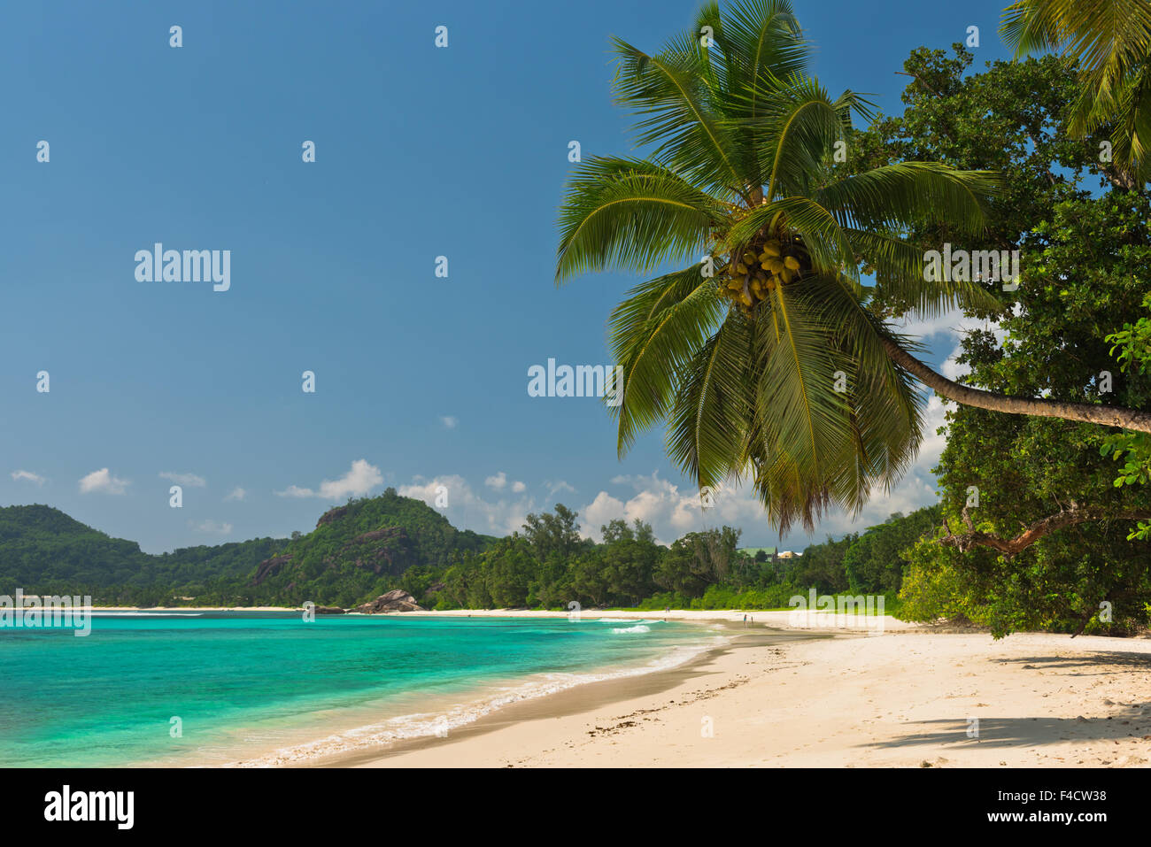 Tropical beach at Mahe island Seychelles. Horizontal shot Stock Photo ...