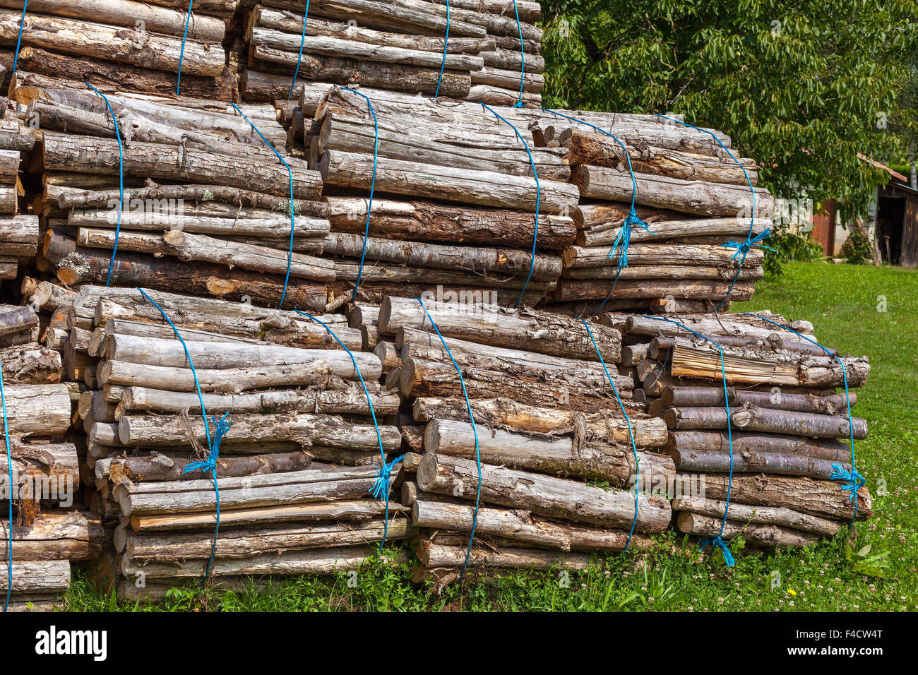 Big pile of wood logs on a rural background Stock Photo - Alamy
