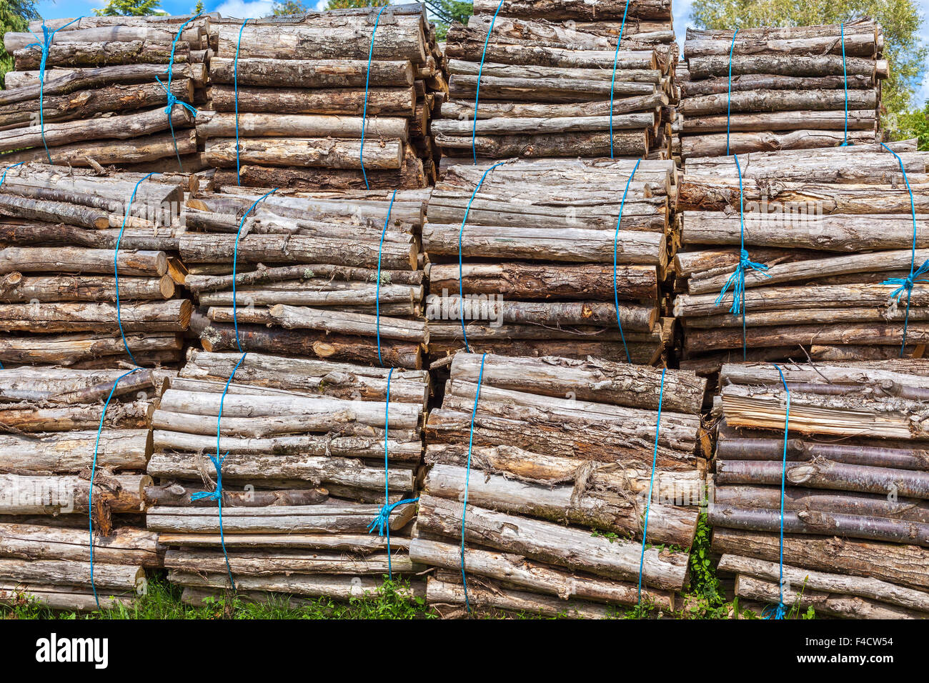 Big pile of wood logs on a rural background Stock Photo - Alamy
