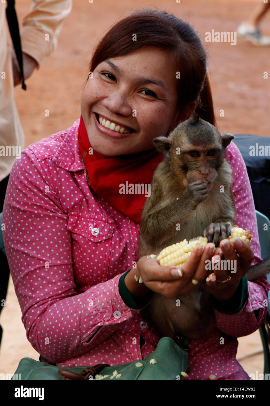 Monkey poses hi-res stock photography and images - Alamy