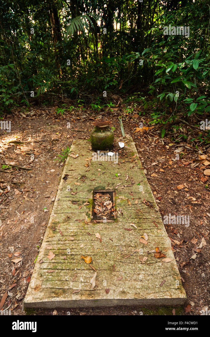 Tombstone in the forest, Batang Ai National Park, Sarawak, Malaysian ...