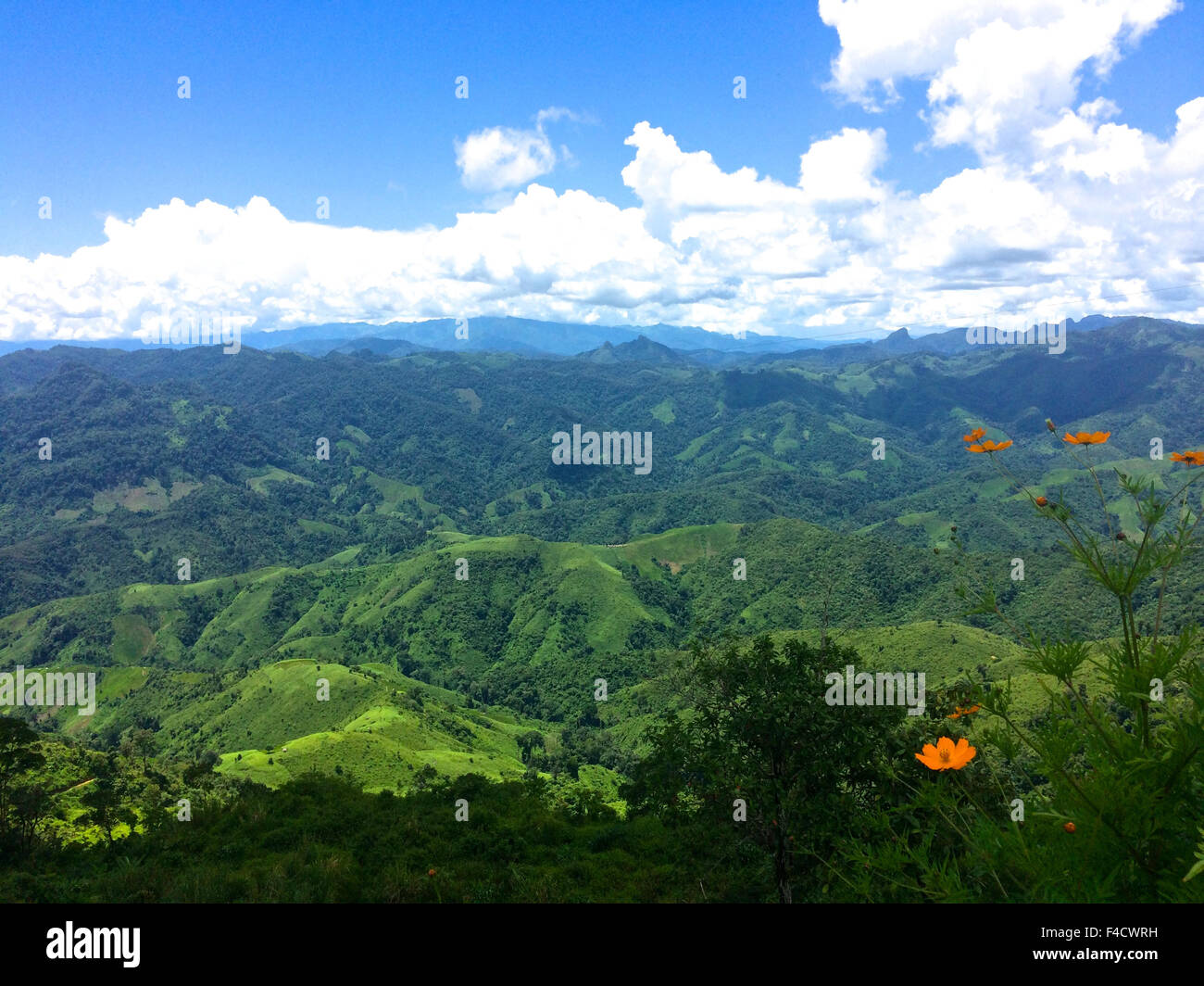 Laos countryside hi-res stock photography and images - Alamy