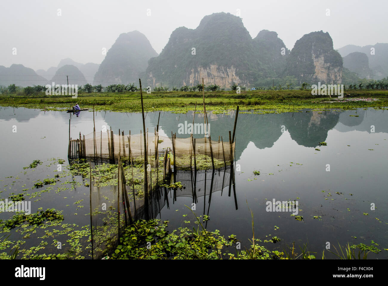 Vietnam, Ninh Binh. Fish pen. (Large format sizes available Stock Photo ...
