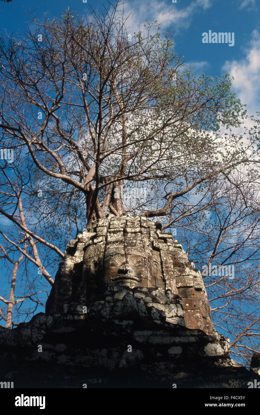 Cambodia, Siem Reap, Angkor, Angkor Wat Temple Entrance. (Large format ...