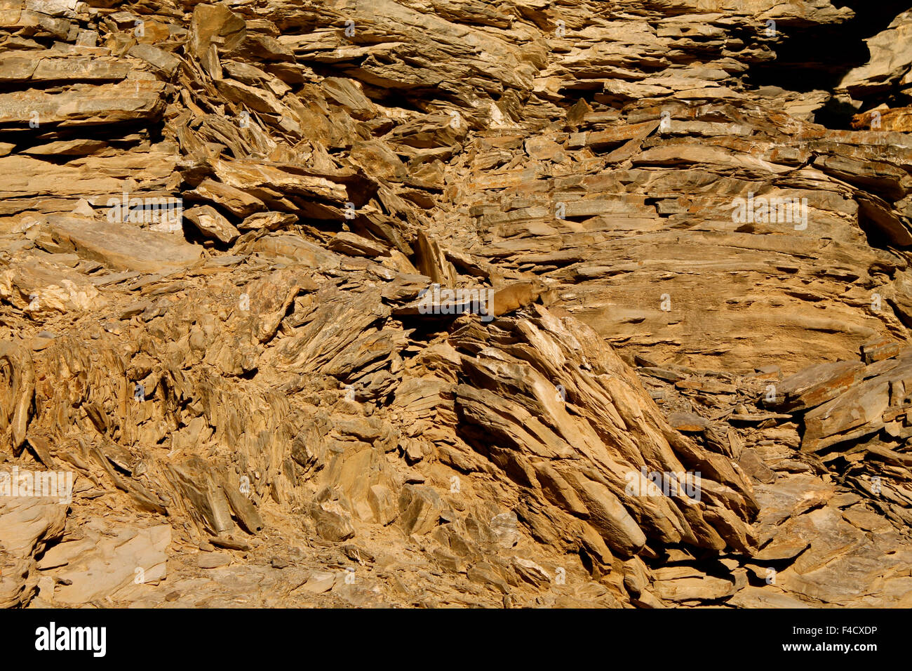 Dassies in Namibia Stock Photo - Alamy