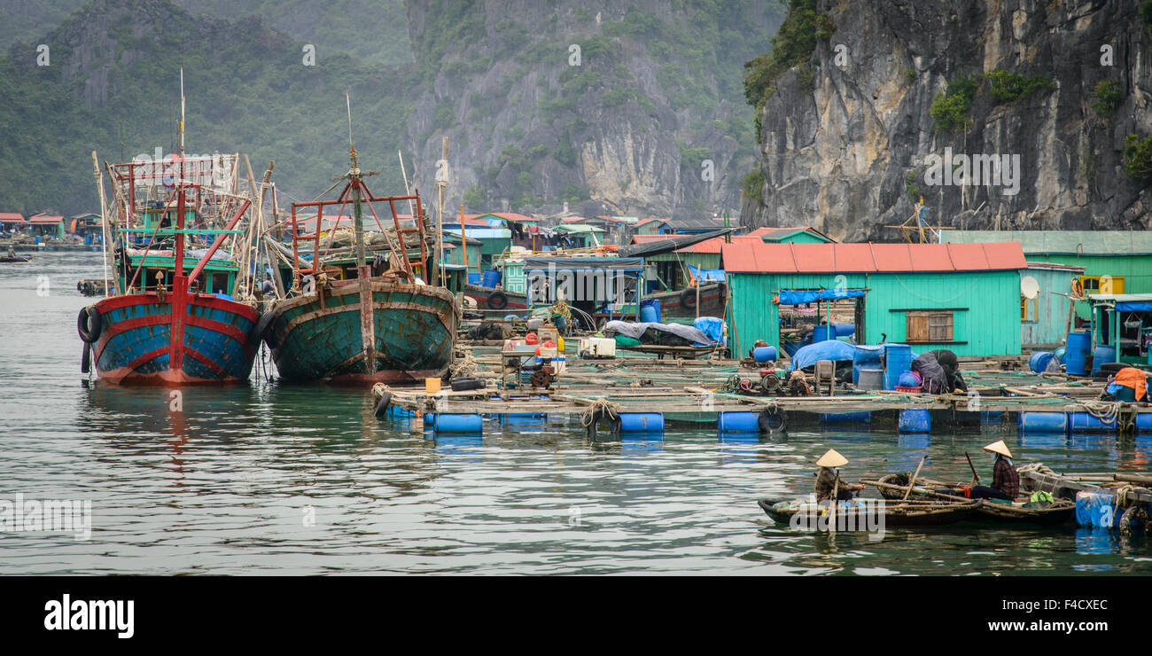 Vietnam, Cat Ba Island, Ha Long Bay. Floating village Stock Photo - Alamy