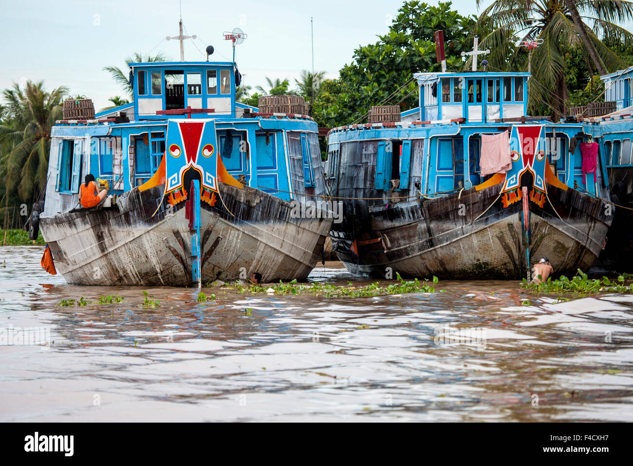 Moored River boats, Mekong River Delta Vietnam, Indochina, South East ...