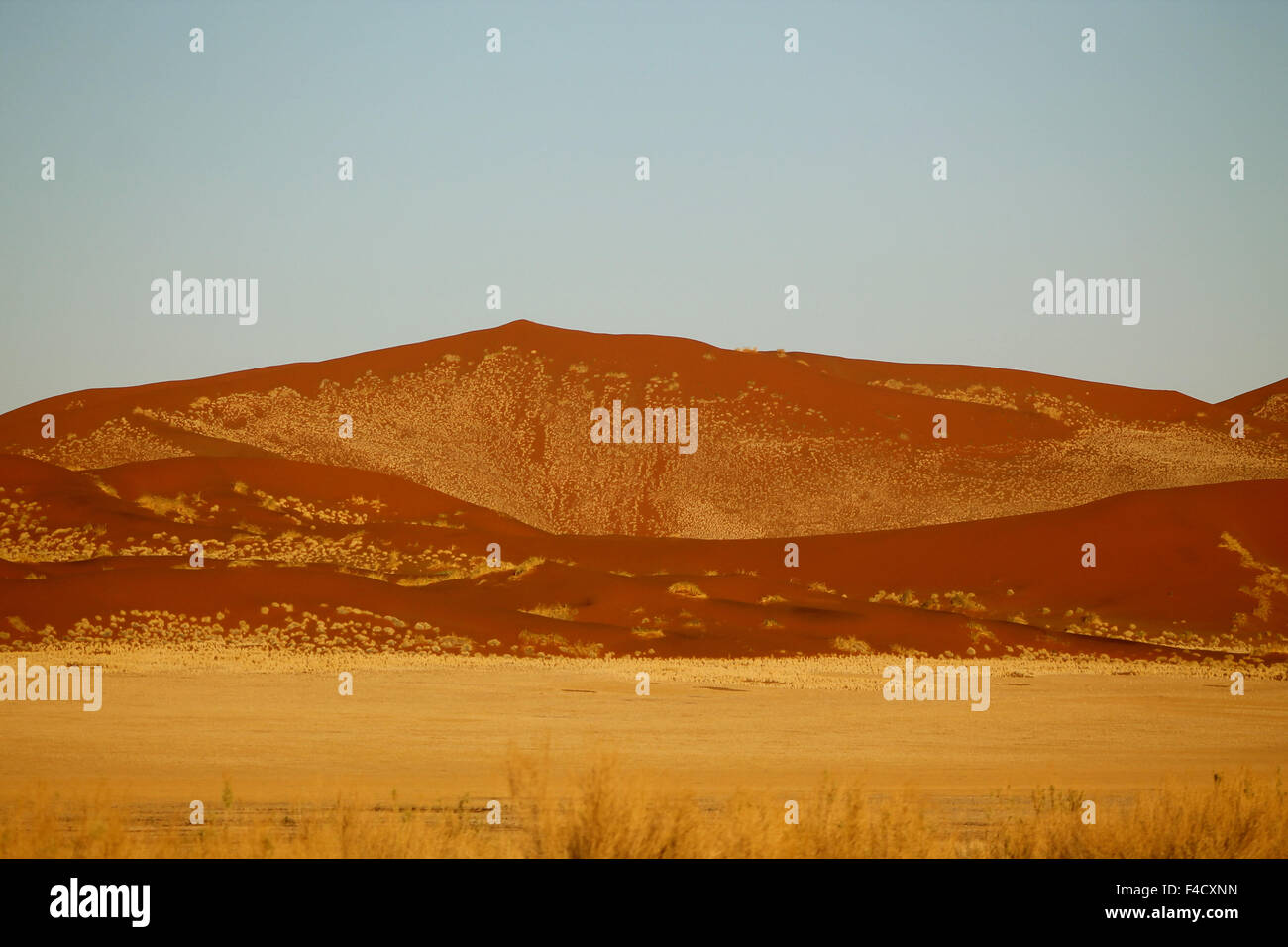 Sand Dunes of Namibia Stock Photo - Alamy