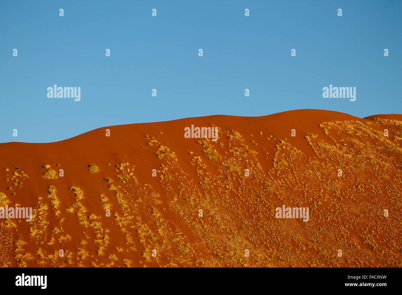 Sand Dunes of Namibia Stock Photo - Alamy