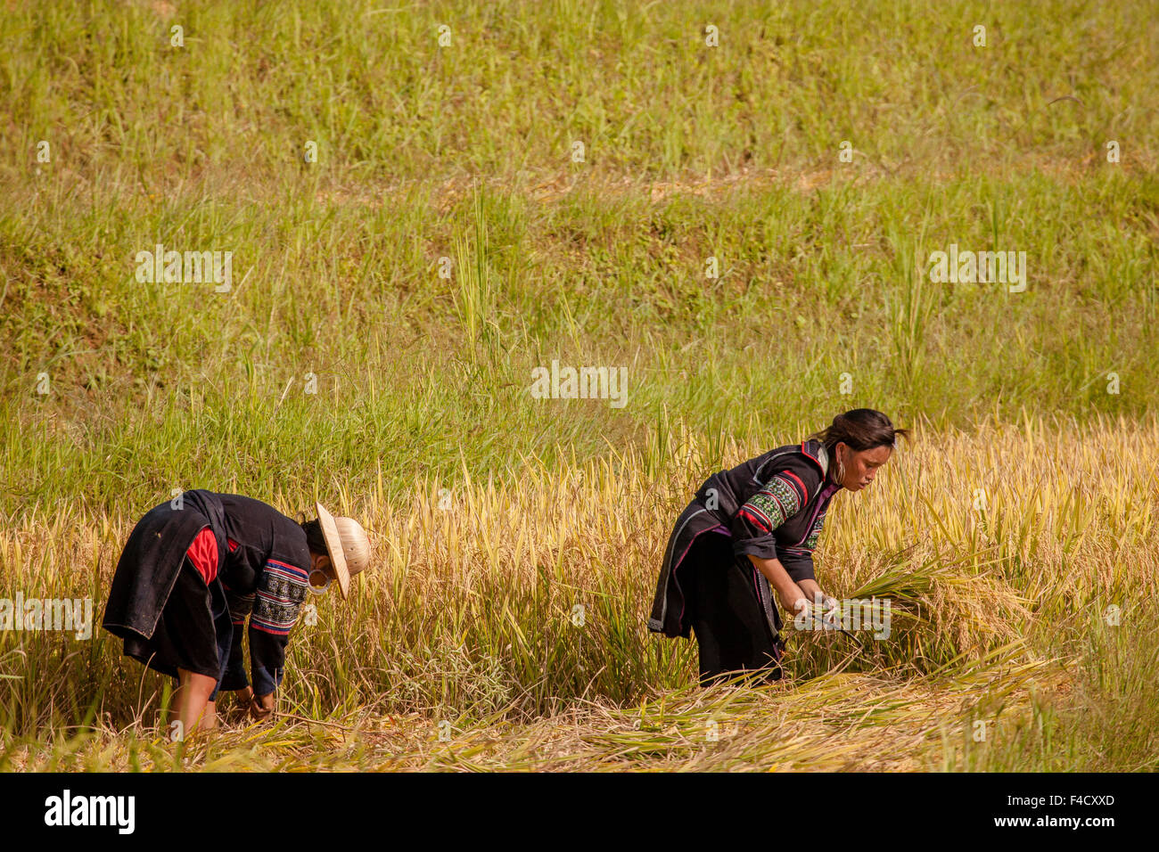 Vietnam, Indochina, South East Asia. Orient. Asia Stock Photo - Alamy