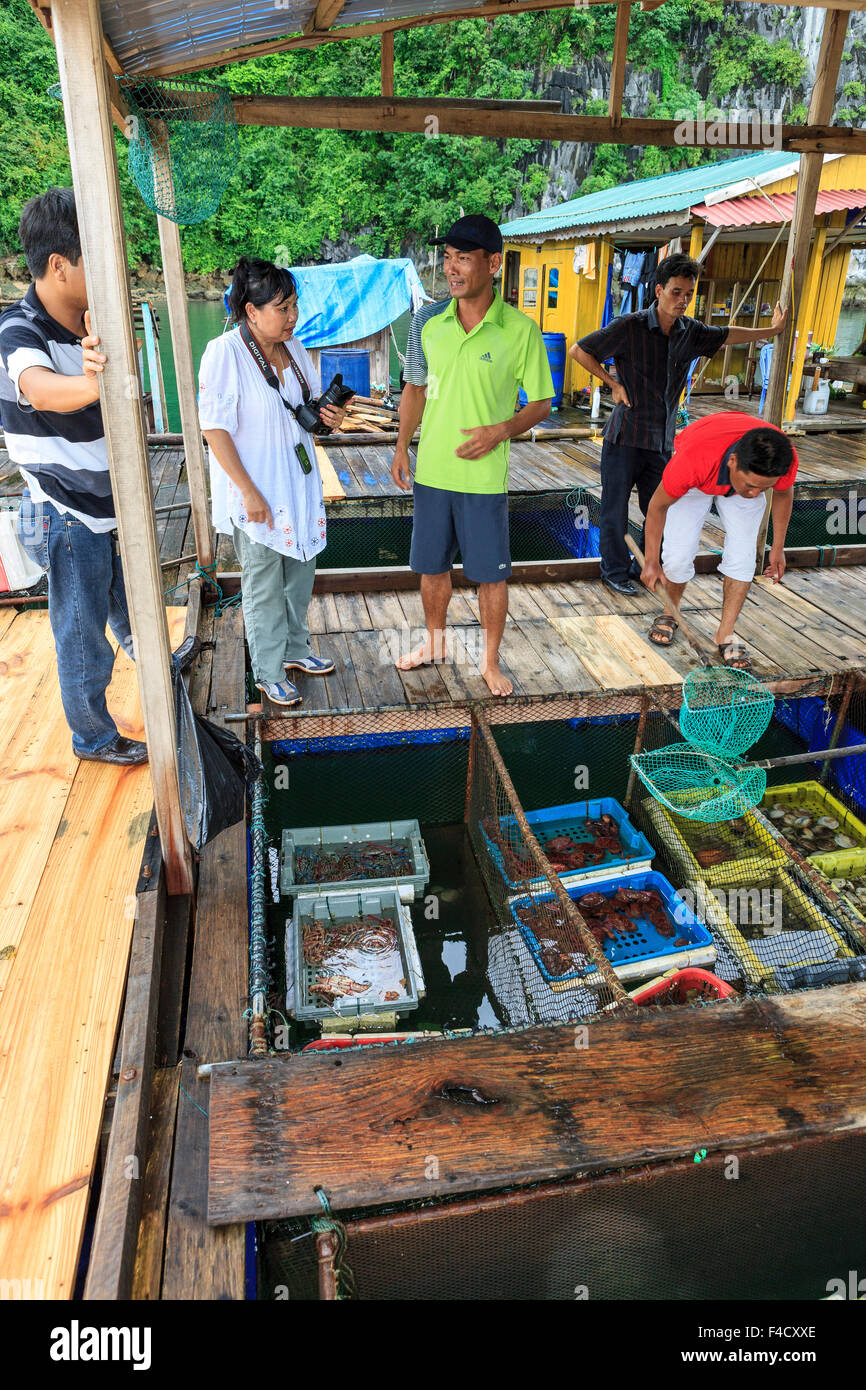 Floating fish Farm. Halong Bay. Vietnam, Indochina, South East Asia ...