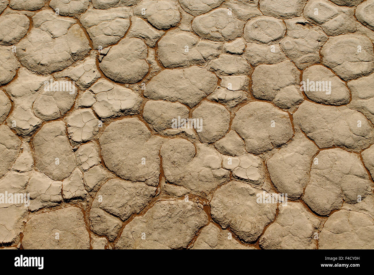 Clay floor of Deadvlei, at Sossuvlei in Namibia Stock Photo - Alamy